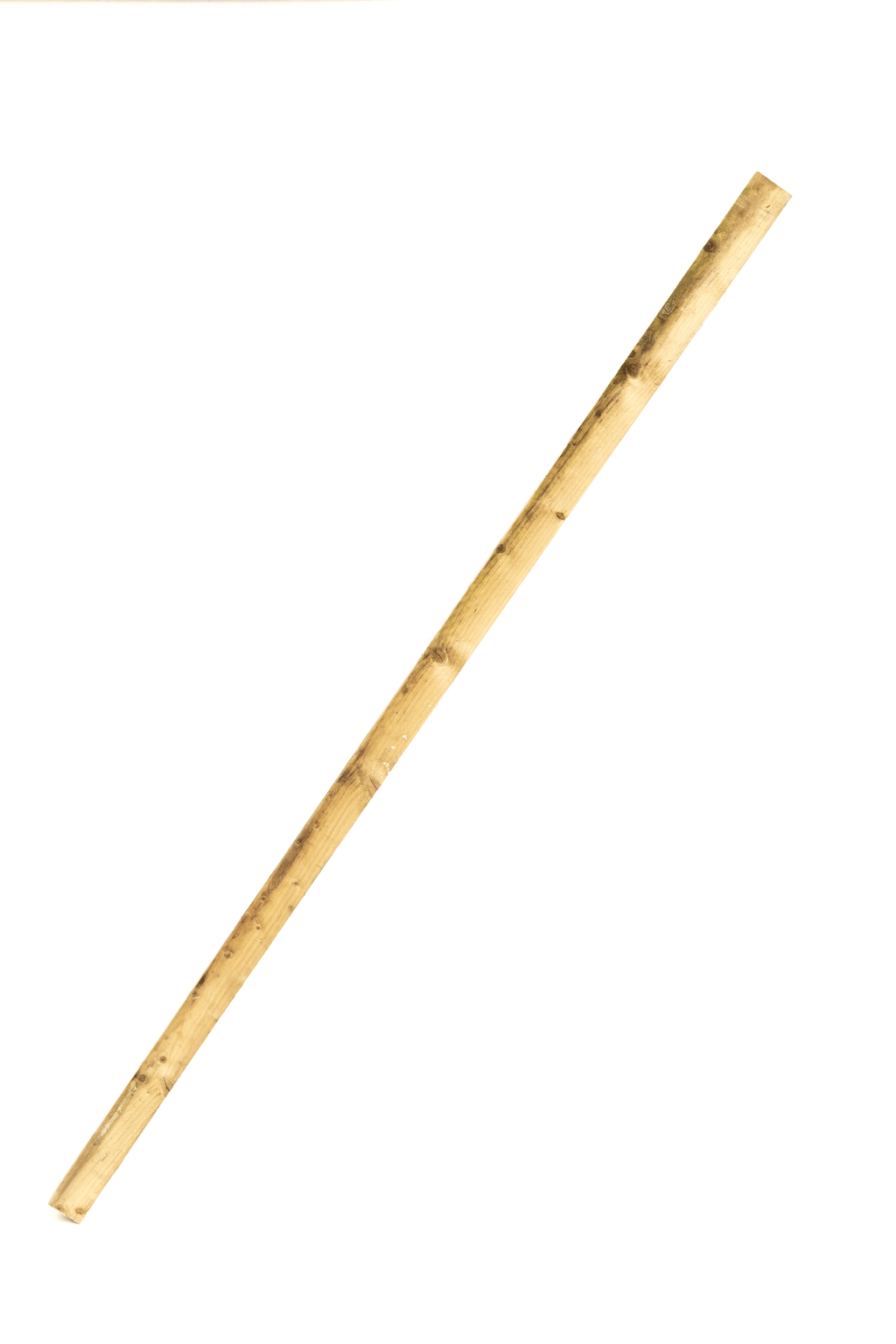 Single Bamboo Cane 60cm / 0.6m - The Gardens Group