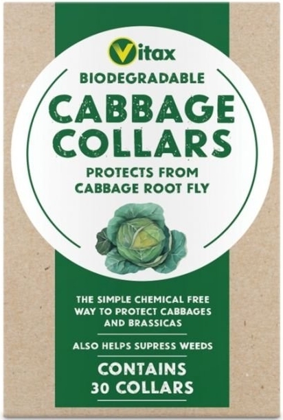 Biodegradable Cabbage Collars - The Gardens Group