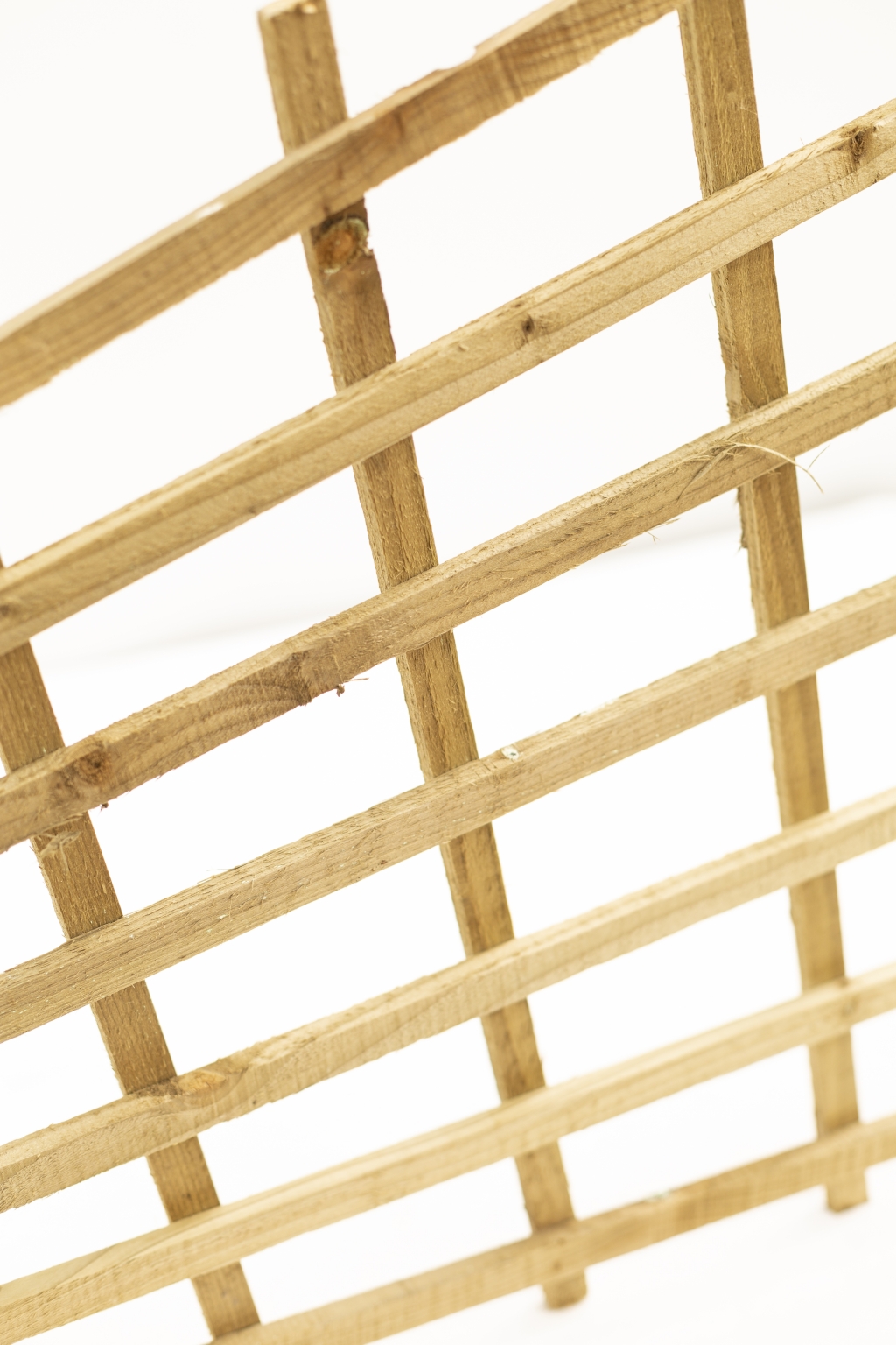 Light Duty Fan Trellis (1.8m x 0.9m / 6ft x 3ft) - The Gardens Group